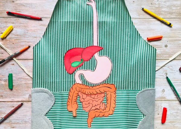 Digestive System Apron – rePo! Shop